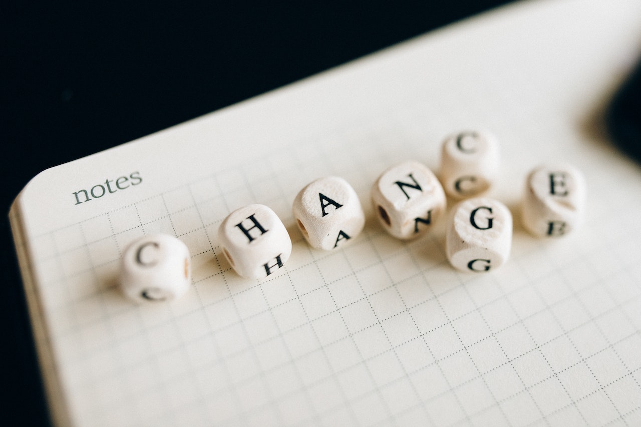 Quiz -Should you pivot your startup business? - Tactyqal
