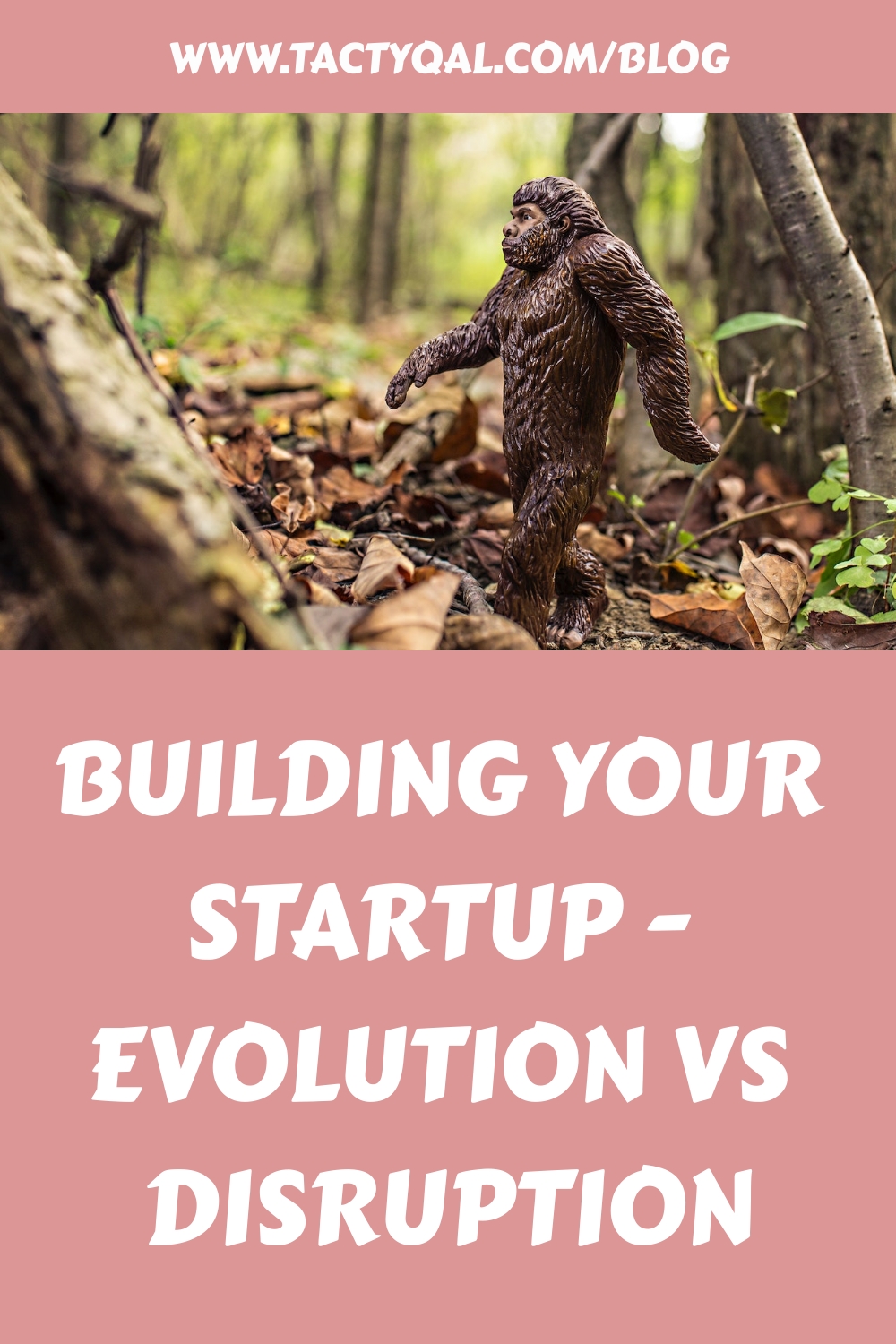 Building Your Startup - Evolution vs Disruption - Tactyqal