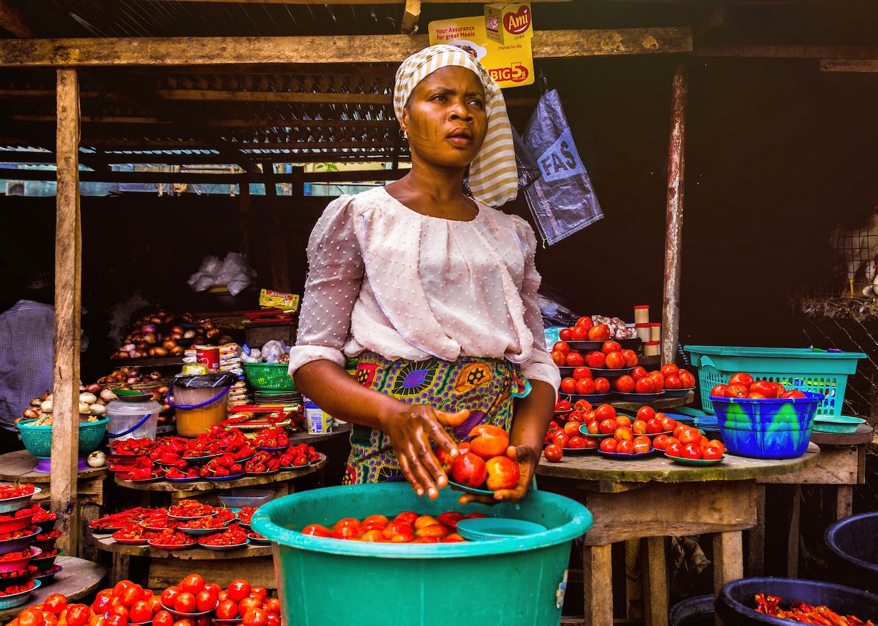 Fostering Entrepreneurship in Developing Countries: A Path to ...