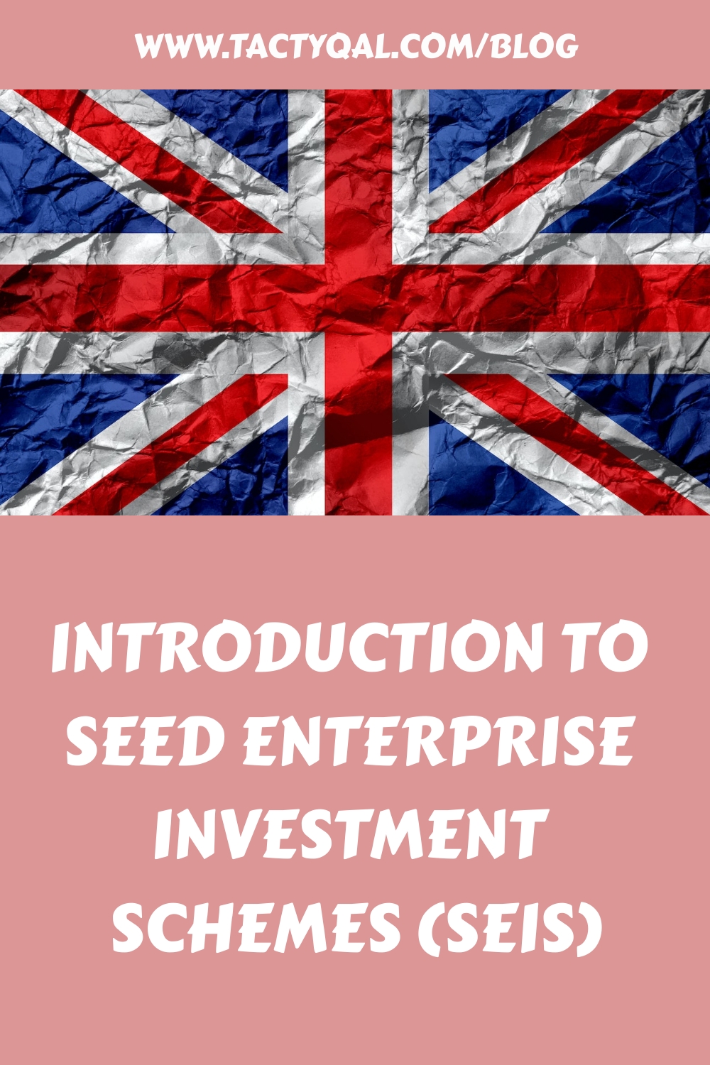 Introduction to Seed Enterprise Investment Schemes (SEIS) - Tactyqal