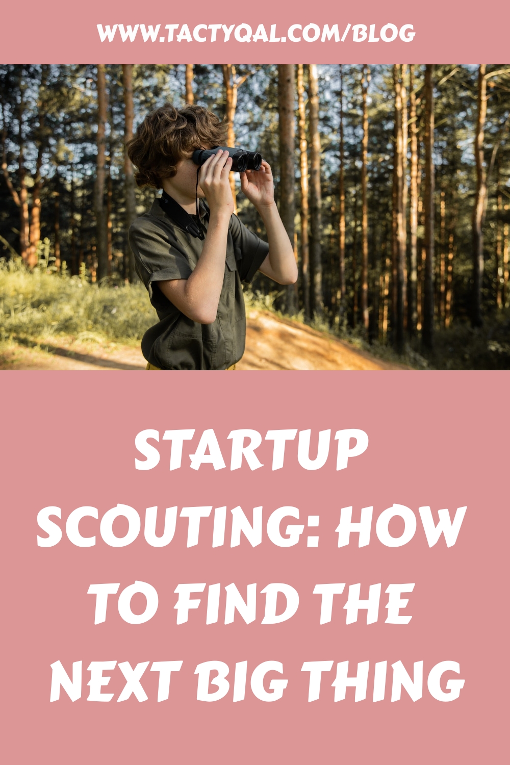 Startup Scouting: How to Find the Next Big Thing - Tactyqal