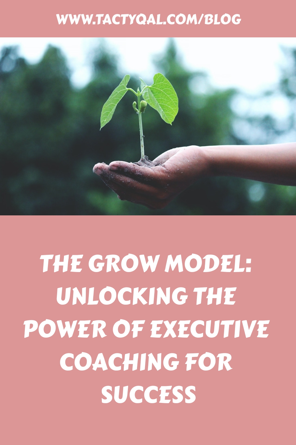 The GROW Model: Unlocking the Power of Executive Coaching for Success ...