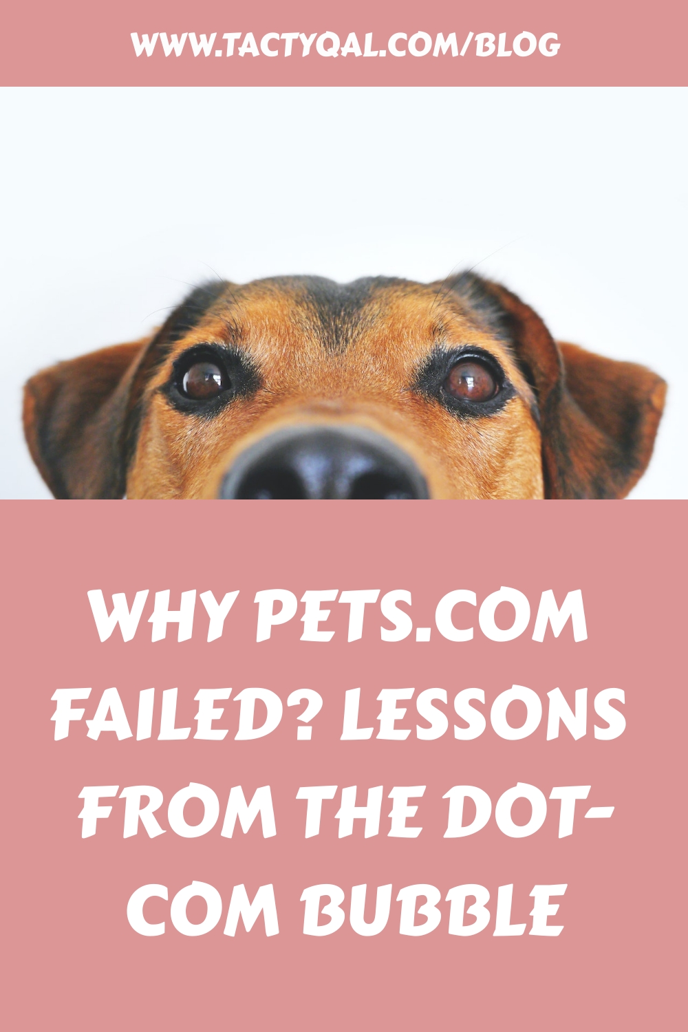 Why pets.com failed? Lessons from the dot-com bubble - Tactyqal